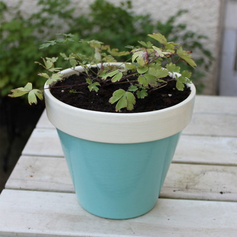 Goblin Blue Wood Paint – Thorndown Paints – Wood Paints, Glass Paints