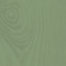 Reed Green Wood Paint | Thorndown Wood & Glass Paints
