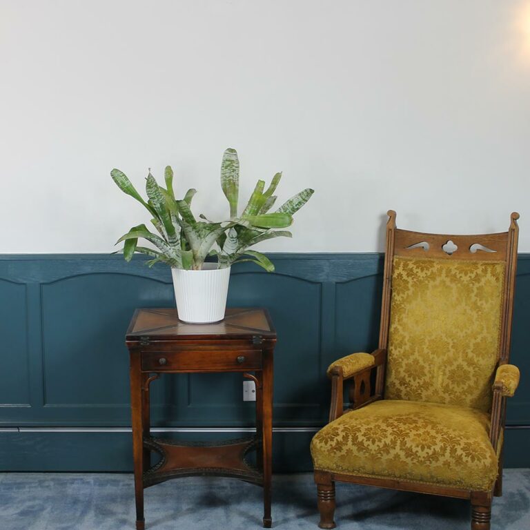 Limestone Wall Paint | Thorndown Wood, Wall & Glass Paints